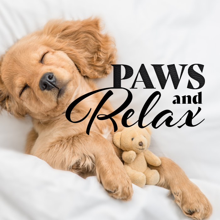 WEM Inn | Promotions